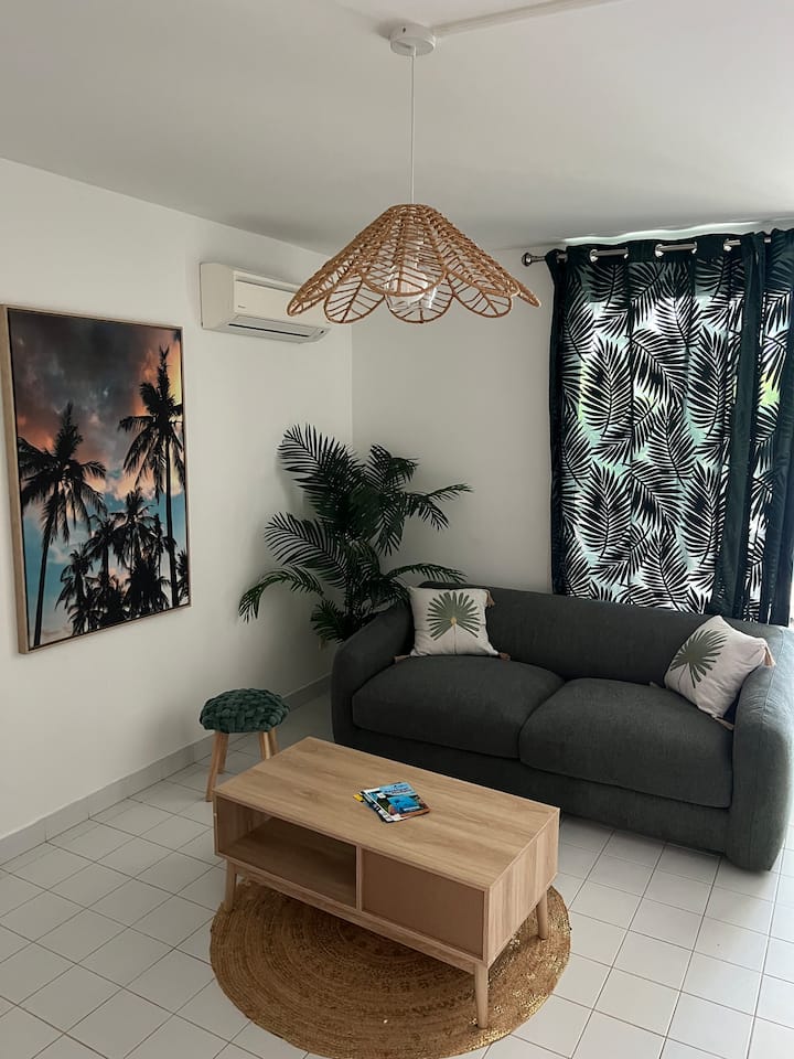 Coco-mango F3 - Saint-François