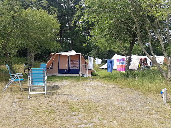 Zuid 1 - Ameland