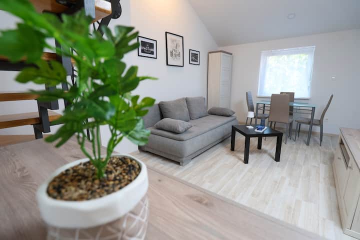 Zagreb Mini Suites 2 - Down Town - Private Parking - Zagreb