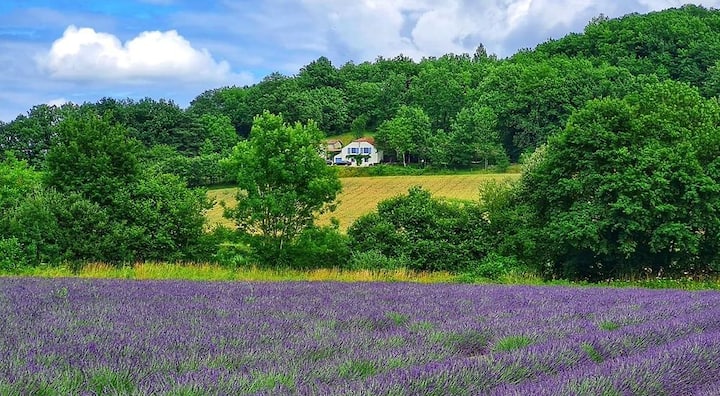 Logis & Welness En Pleine Nature (9 Personnes) - Lauzerte