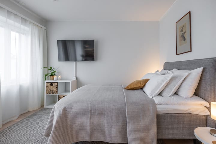 Moderni Yksiö Keskustassa
+Autohallipaikka - Lapponia