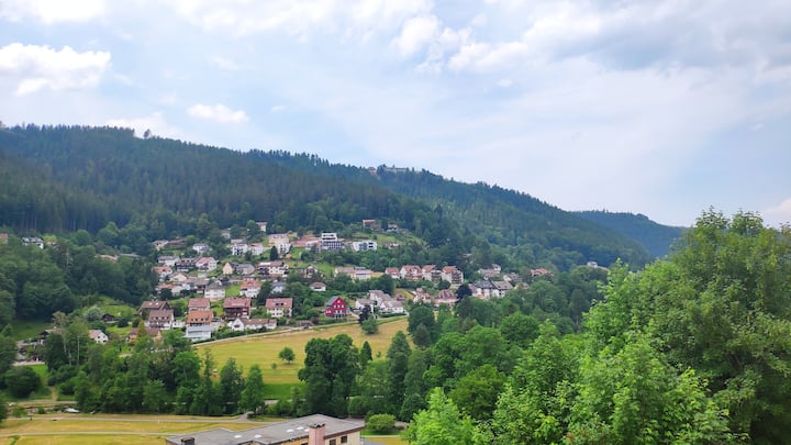 Studio Mit Schönem Bergblick - Bad Wildbad