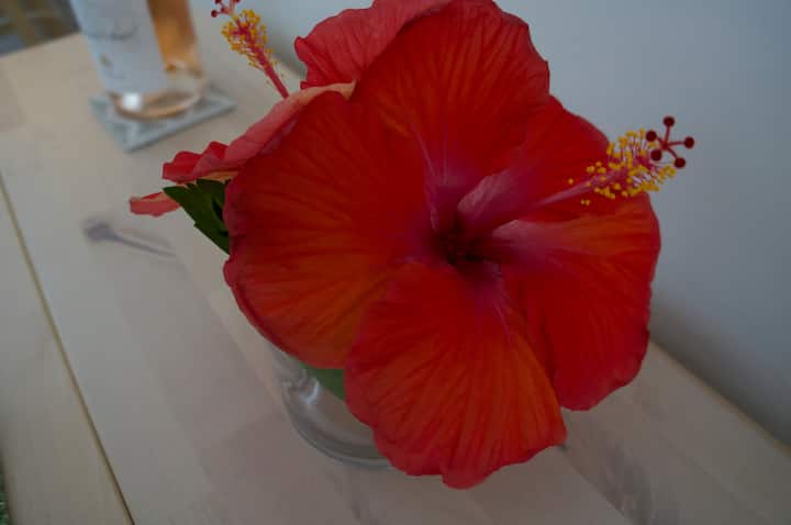 Sunset Loft In Hope Village - Providence, RI