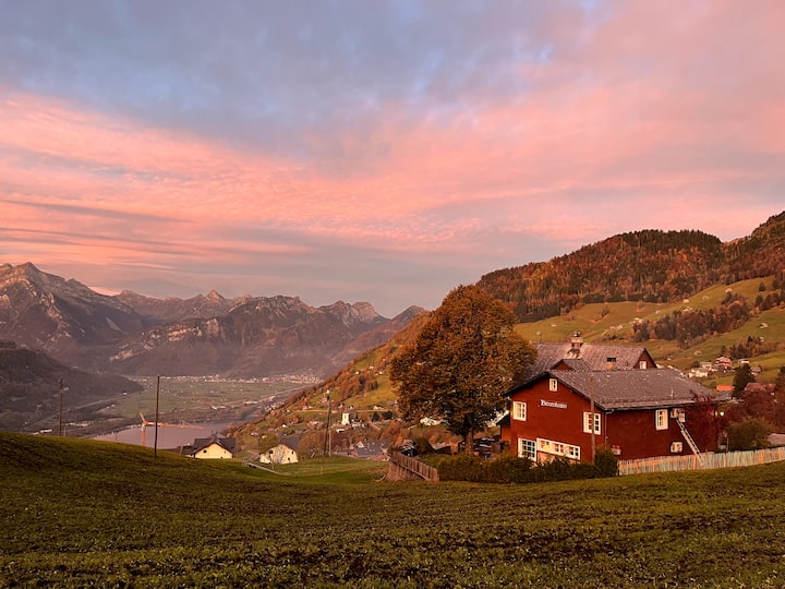 Amdenlodge - Bienenheim Chalet - Schweiz