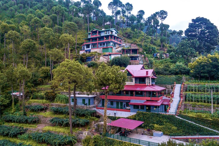 Cecil Cottage | Colonial Hill Home, Kasauli - Solan