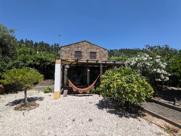 Lakefront House 1500sqm Magical Garden And Hot-tub - Vila de Rei