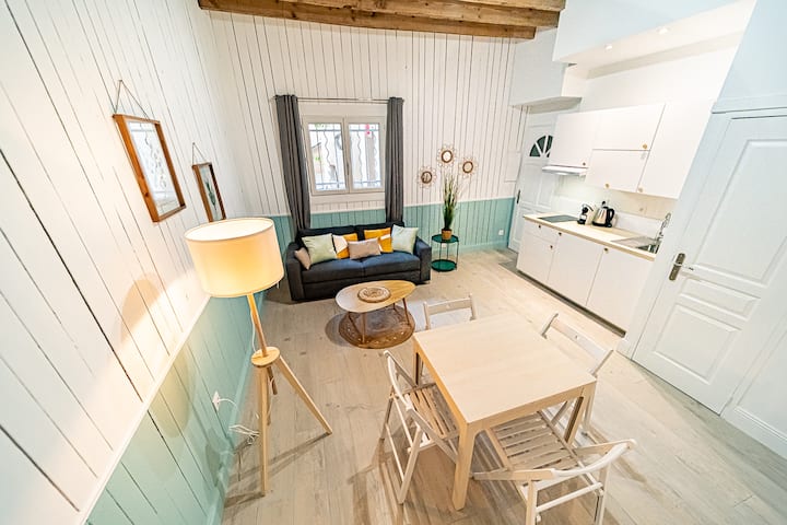 "L'eucalyptus" Joli T2 Climatisé Prox Métro/tram - ibis budget Lyon Villeurbanne