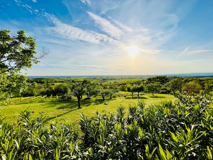 Tenuta Terre Dei Colli - Villa In Collina - Italy