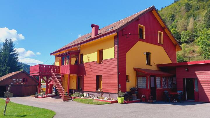 Gîte Déco Montagne Avec Grands Espaces, Pré - La Bresse