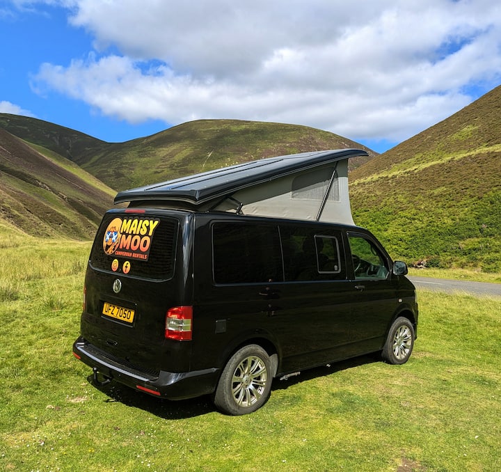 Maisy Moo Campervan Hire. - Hamilton, UK