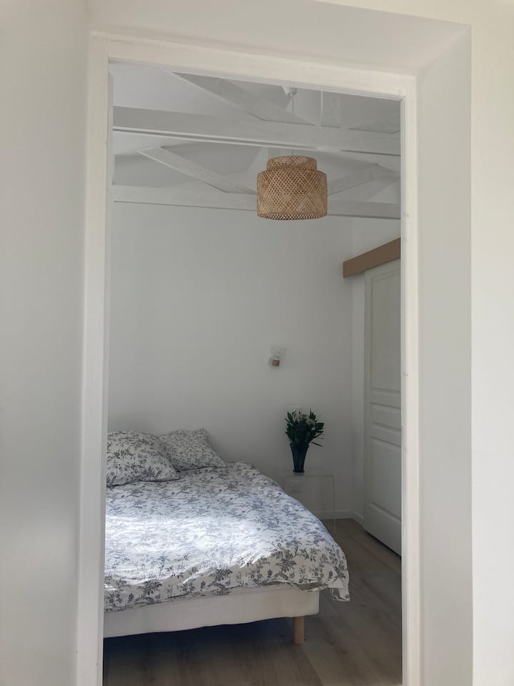 Domaine Au Cœur Des Vignes : 2 Logements + Jacuzzi - Belleville-sur-Loire