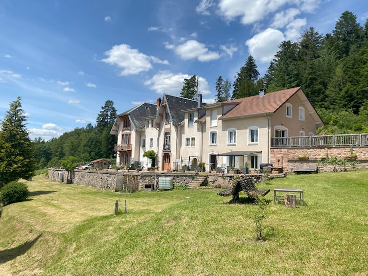 Le Grimaubois - Saint-Dié-des-Vosges