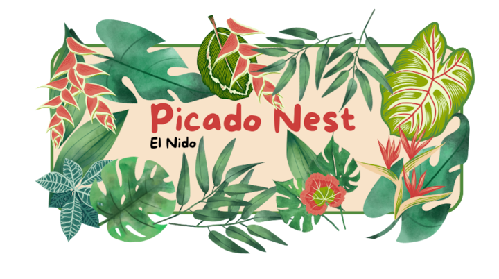 Picado Nest, Duplex, Cozy And Charming - El Nido