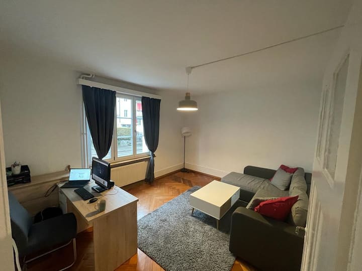 Cozy Apartment-bern City Center - Bern