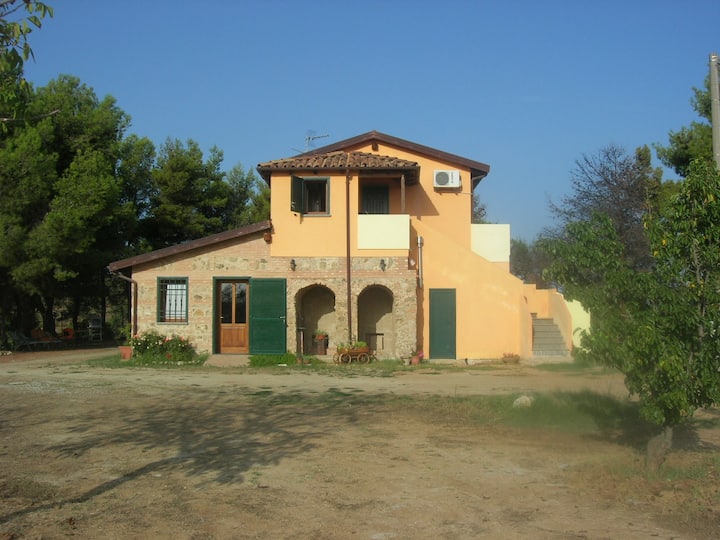 Appartamentino In Agriturismo - Zambrone