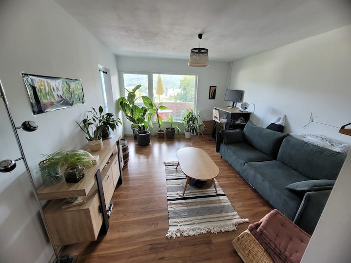 Appartement Cosy - Annecy - Annecy