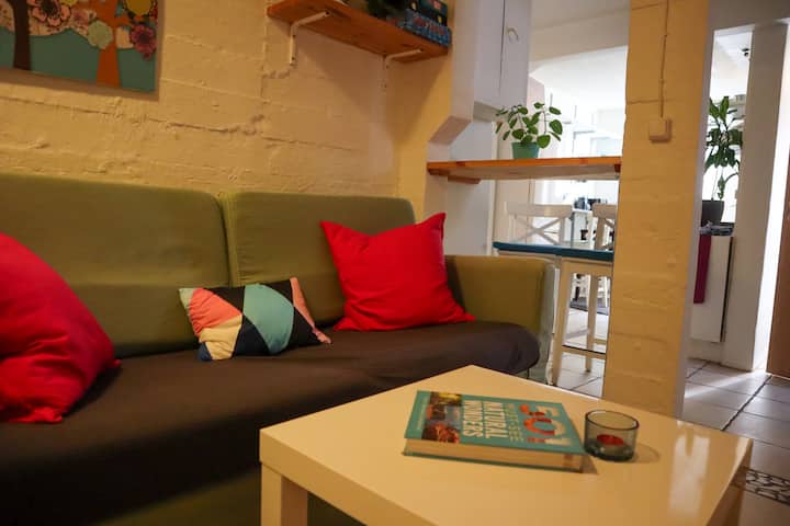 Cozy Central Apartment - Reykjavik