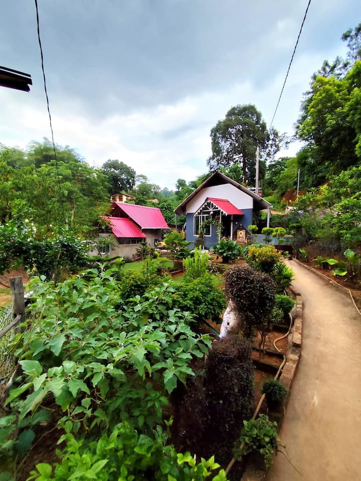 Van Kutir|eco Cottage|in Nature|wildlife - Sonapur