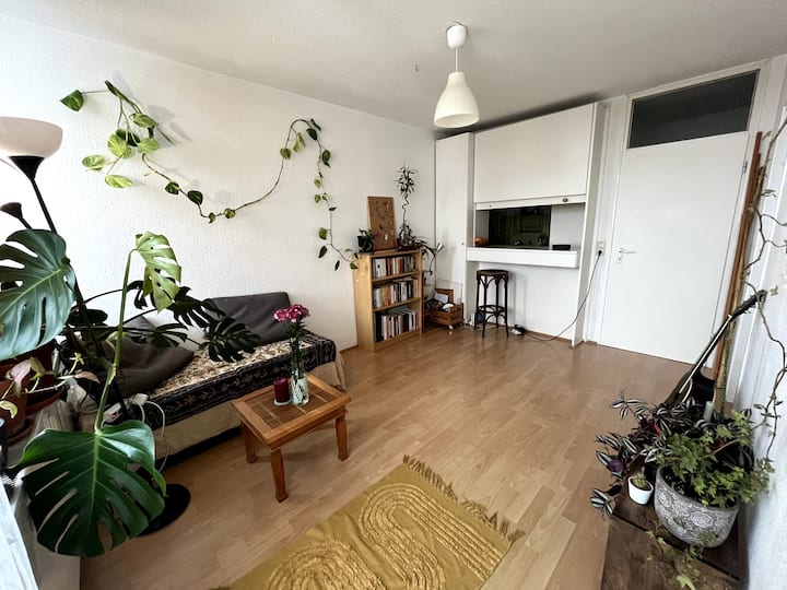 Cosy Flat Cologne - Colonia