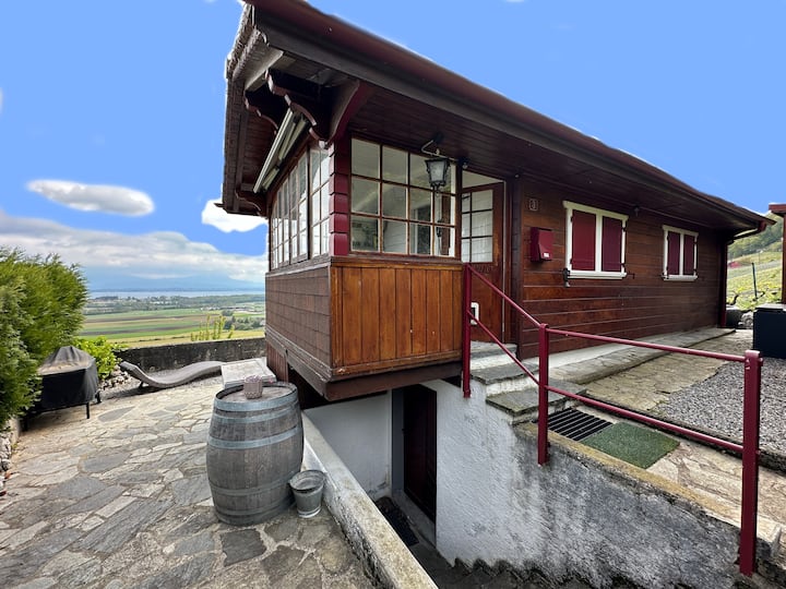 Chalet Avec Vue Sur Le Lac Léman - Nyon