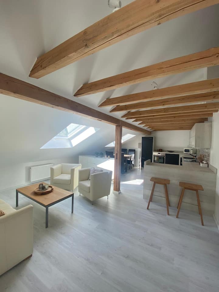 Lichtdurchflutete Aparte Wohnung - 威斯巴登