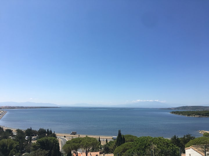 Leucate Plage Face Au Canigou - Leucate