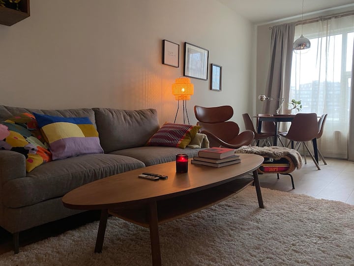 Cozy Apartment In Reykjavik - Reykjavik