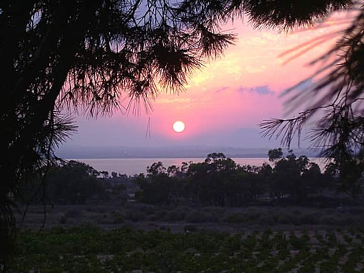 Bungalow Casa Sol - San Isidro, Alicante
