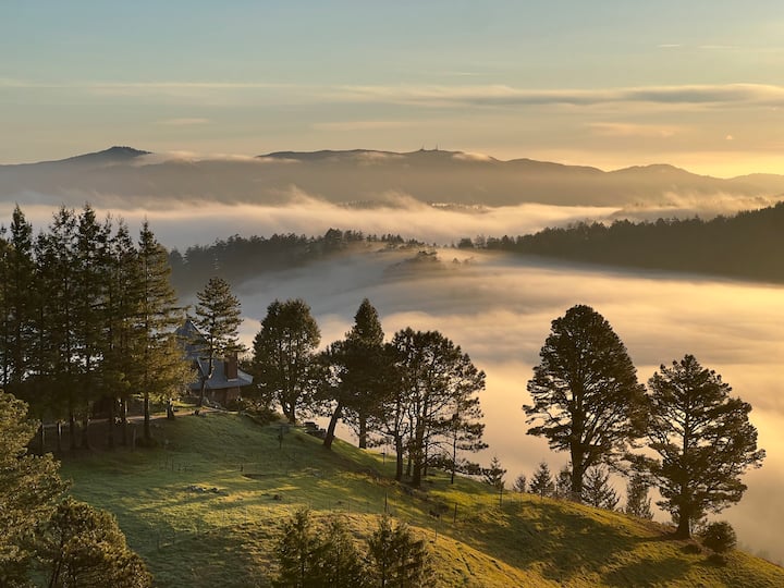 Marin Castle: Celebrations Above The Clouds - Point Reyes Station, CA