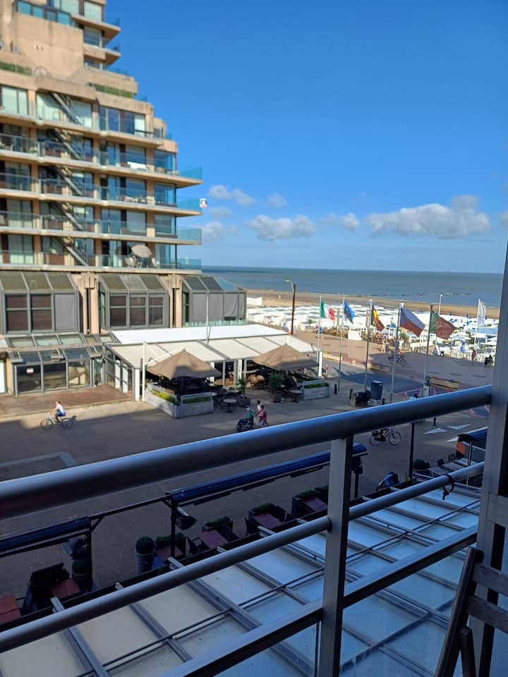 Ruim Appartement Met Zeezicht Op Top Ligging - Bruges