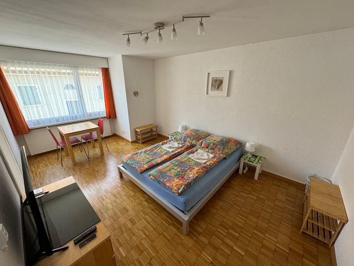 Cozy Studio In Zurich City - Zürich