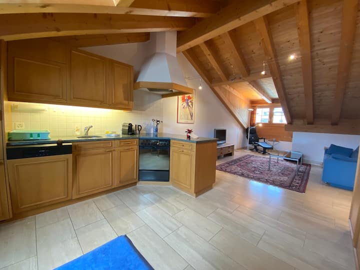 Haus Suot Chesas 8b - Sankt Moritz