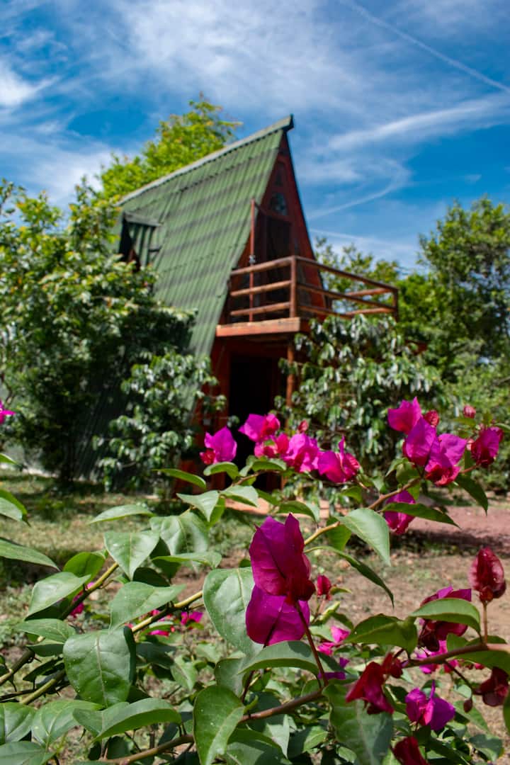 Cabaña 'Villa Karuma' Coatepec - Xico