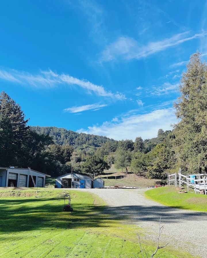 Enchanted Redwood Retreat Ranch Suite - Morgan Hill, CA