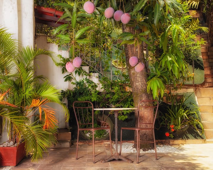 Acolhedor Flat Da Manga Rosa! - Rio de Janeiro