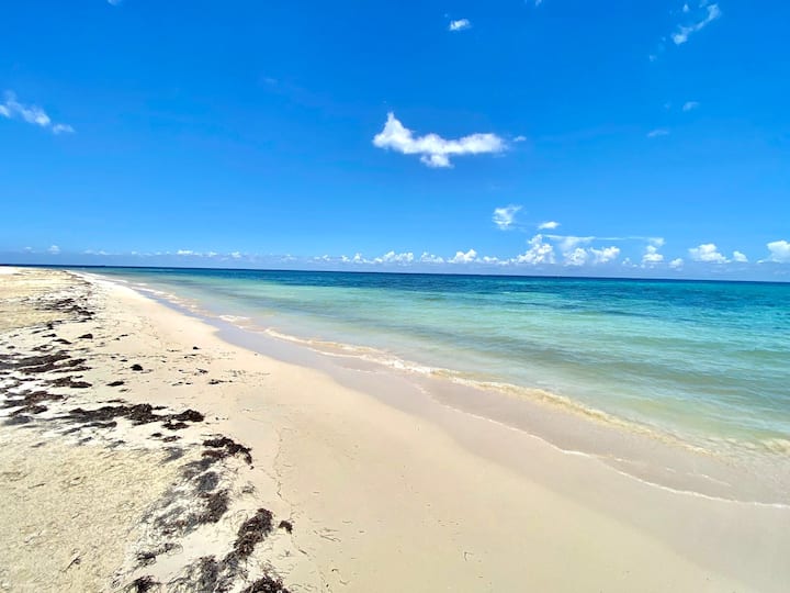 Sandy Toes, Beach Condo Cozumel - Cozumel