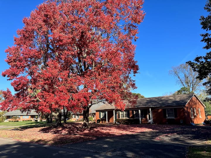 Home Away From Home - Lexington, KY