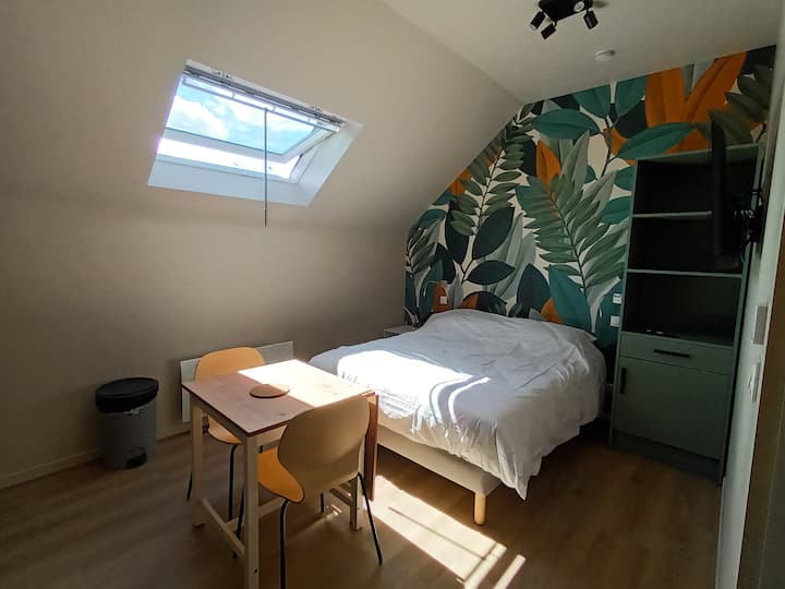 Gîte 4, Meublé 20 M², éQuipé, 2 Pers - Saint-Amand-les-Eaux
