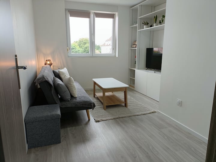 Appartement Entier Rénové - Sélestat