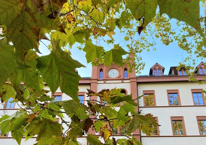 Hotel Odelya - Stadthotel Im Park - Basel
