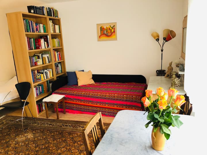 Gemütliche Einzimmerwohnung - Villingen-Schwenningen