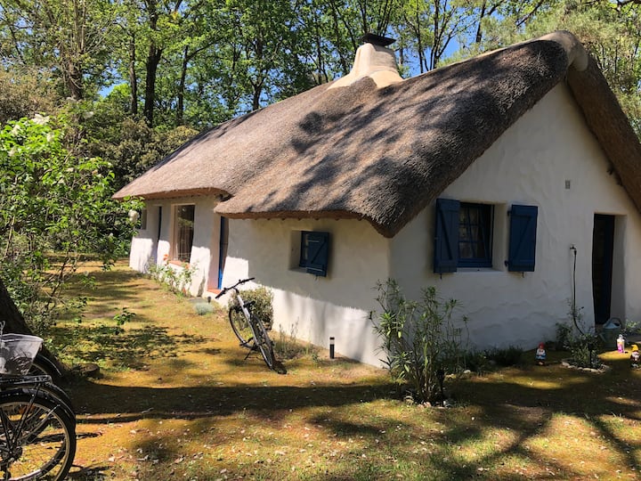 Bourinne Vendéenne Dans Domaine - Saint-Hilaire-de-Riez