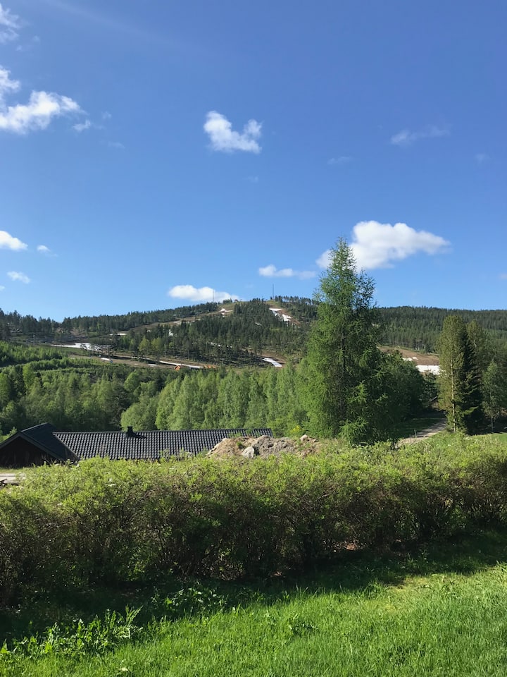 Hel Villa I Järvsö Med Utsikt - Järvsö