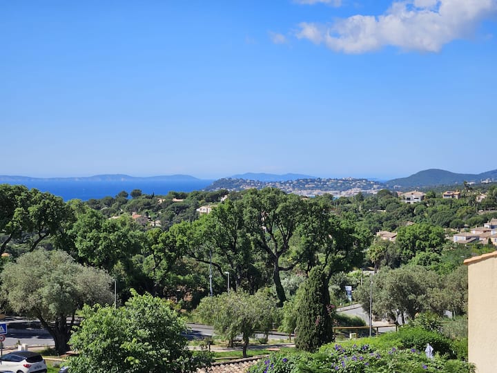 Lhorizon Bleu Les Palmiers Vue Mer - Ramatuelle