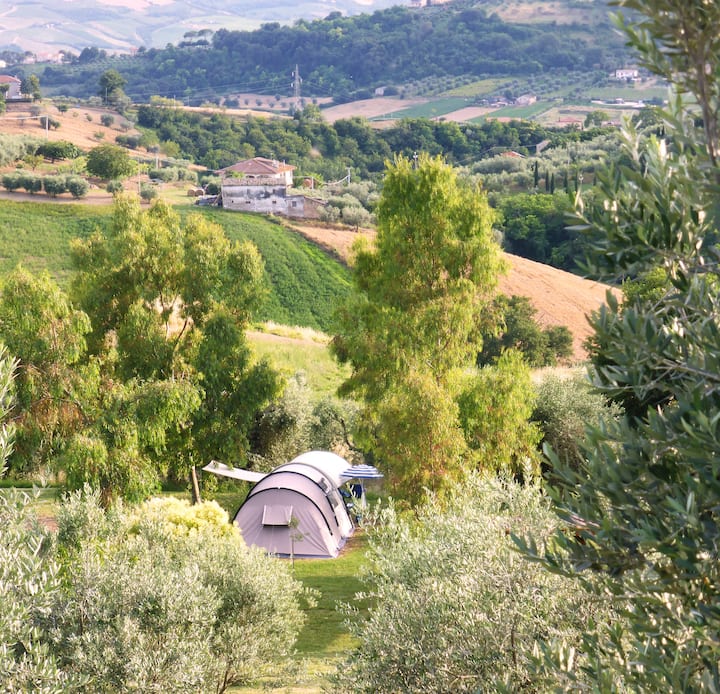Posto Tenda (Porta La Tua Tenda) - Grottammare