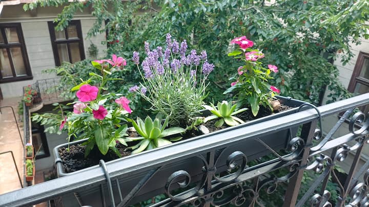 Budapest -Waiting 4you - Budapest