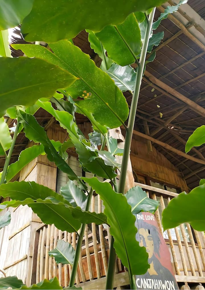 Canjahawon Nipa Hut Homestay - Little Hut - Larena