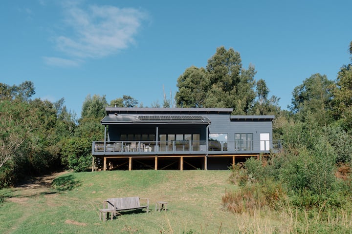 Cosy Cabin Surrounded By Native Forest - Wilderness