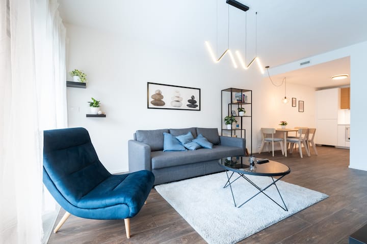 City Park Apartment - Brno - Brno