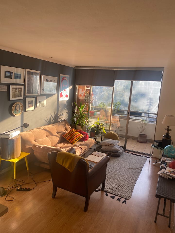 Habitación Con Vista Providencia - Las Condes